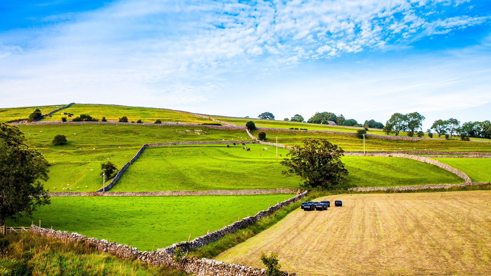 Book to stay at Fearby | Herdwick Cottages