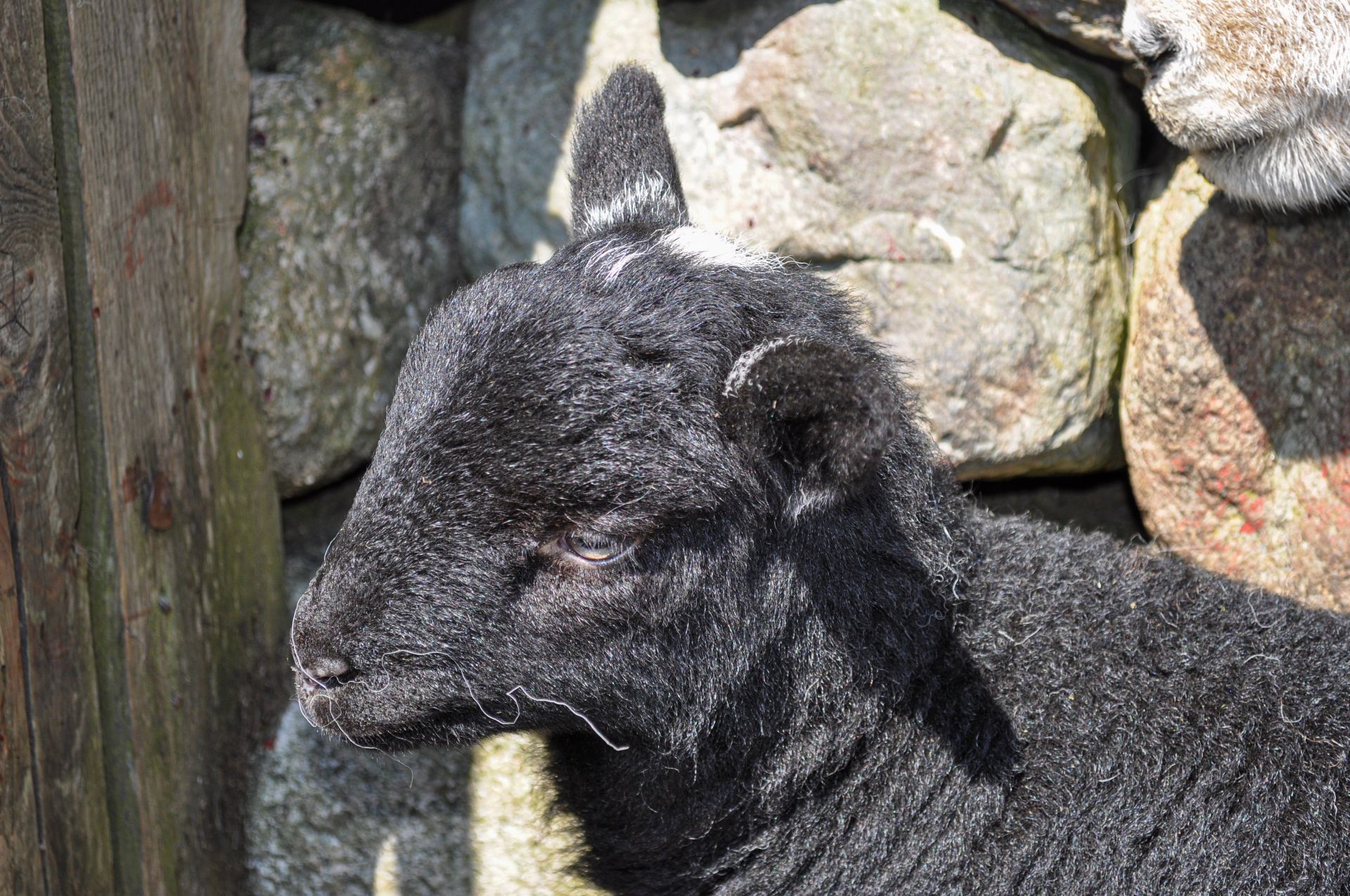 High Wallabarrow Cottage - Duddon Valley - Herdwick Cottages