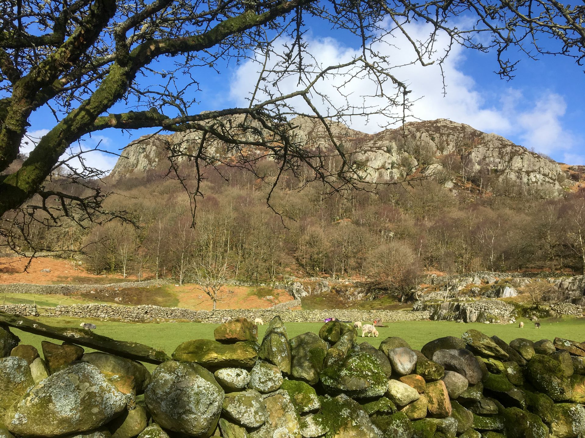High Wallabarrow Cottage - Duddon Valley - Herdwick Cottages