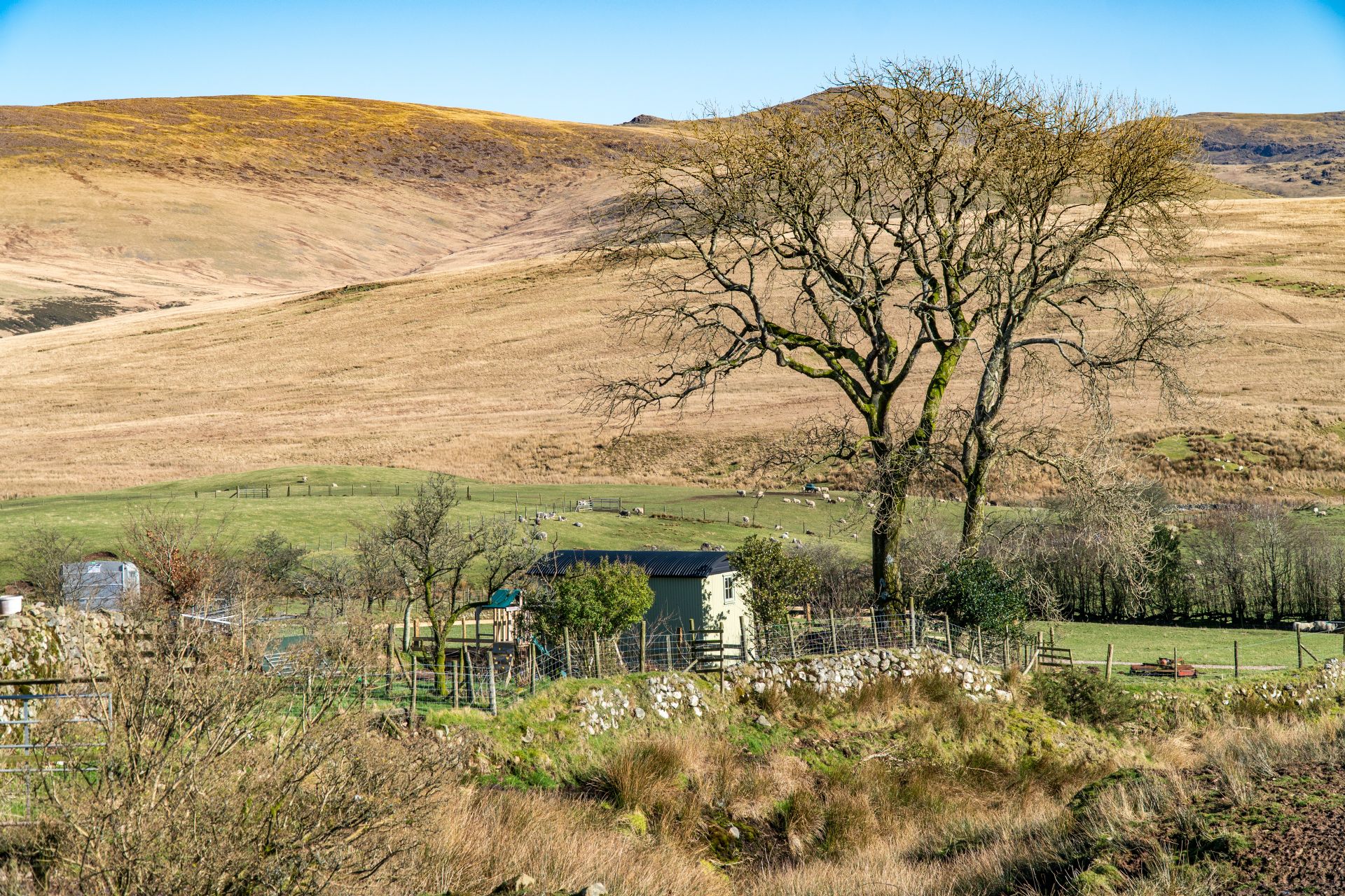 Lake District Glamping - Scalderskew Shepherds Hut - Gosforth, Seascale