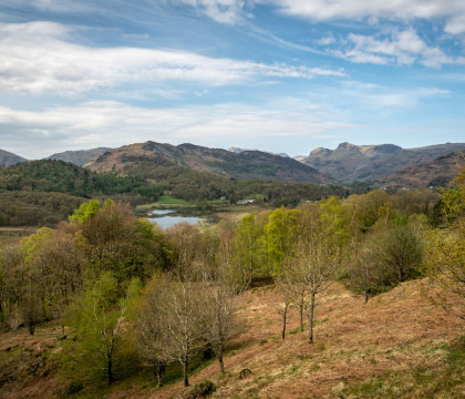Neaum Crag - Lake District Lodges, Loughrigg - Herdwick Cottages